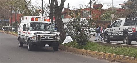 Vídeo Muere Joven Motociclista Al Estrellarse Contra Un árbol