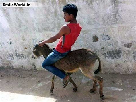 Latest 5 Indian Funny Images Free Download