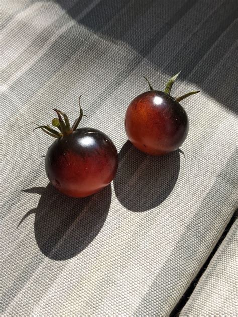 Amy Crabtree Campbell On Linkedin August Update As Summer Winds