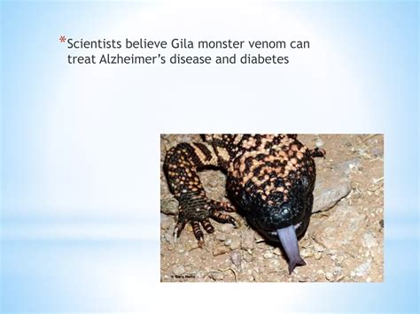 Gila Monsters Pptx
