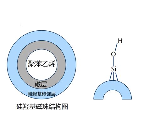 磁珠法提取核酸的原理及常见问题 知乎