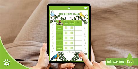 Daily Bird Feeding Chart Editable Tracker Twinkl Pets