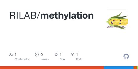 Github Rilabmethylation