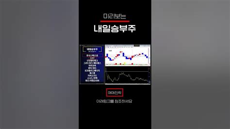 미리보는 내일승부주 수요일 Youtube