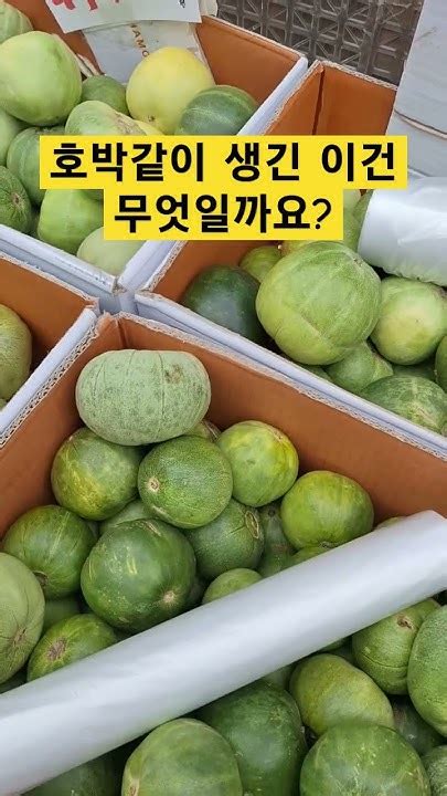 대림동 범죄도시 길거리에서 팔고 있는 국내산 중국 참외 Youtube