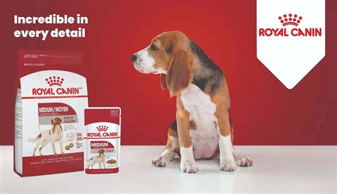 Animealroyal Canin Renal Cat Tuna Jelly 85 Gm Upto 15