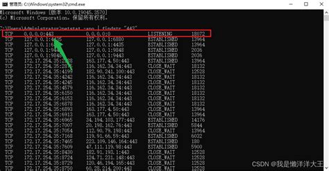 Windows 关闭占用指定端口的进程