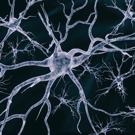 Home Perth Physio Collective For Every Body