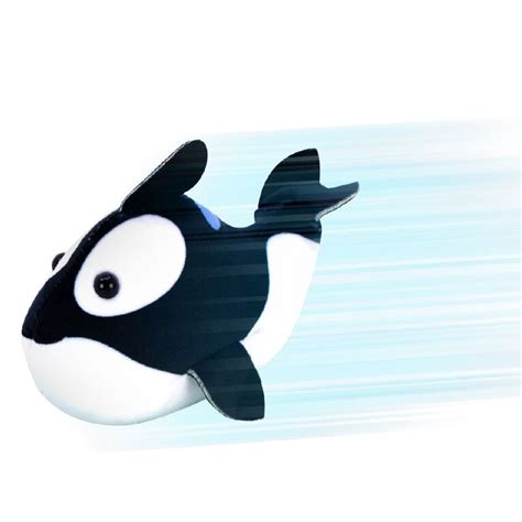 Aquarium Fish Assorted Assorted The Warehouse