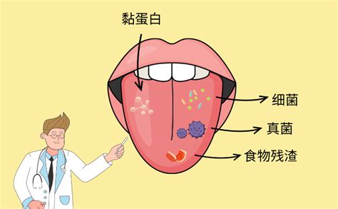 舌头上那层白白的是什么？居然能看出身体问题？！160资讯网健康160旗下医疗信息门户网站中国人的在线健康服务平台