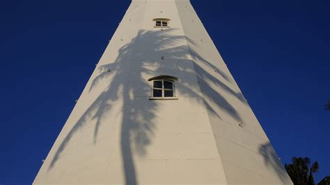 Bridget Reweti · Climates Habitats Environments