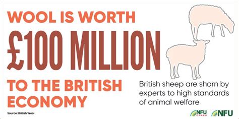 Sustainable Sally Cornforth