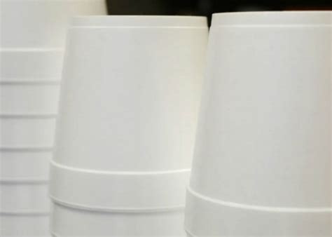 Polystyrene Food Containers And Cups Are Set To Be Outlawed In Queensland