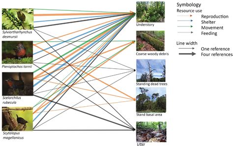 Structural Complexity Is A Better Predictor Than Single Habitat