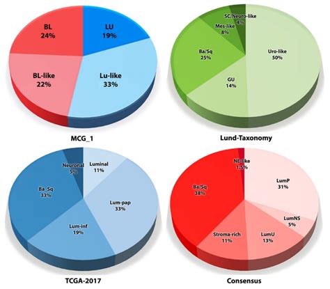 Muscle Invasive Bladder Cancer Molecular Subtypes By Different