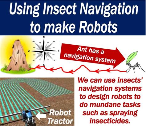 Robots That Mimic Insect Navigation Market Business News