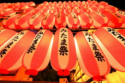 三重県護国神社の写真「万灯みたま祭の赤い提灯」 三重フォトギャラリー