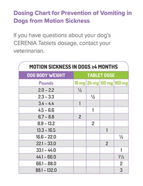 Cerenia For Pet Owners Zoetis Petcare