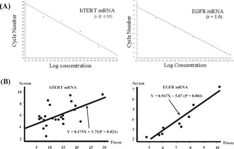 What Is A Quantitative Assay At Frances Storey Blog