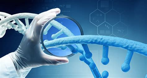 Trial Readouts Will Enforce The Role Of Trilaciclib Across Multiple