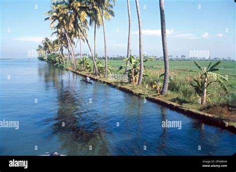 The Scenic Backwaters Of Kerala Comprise A Serene Stretch Of Lakes