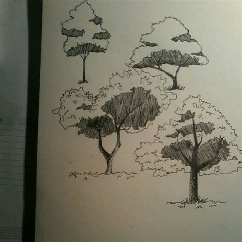 Tree Drawings Pencil Art Inspiration