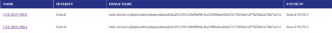 Vulnerabilities · Issue 308 · Phpmyadmindocker · Github