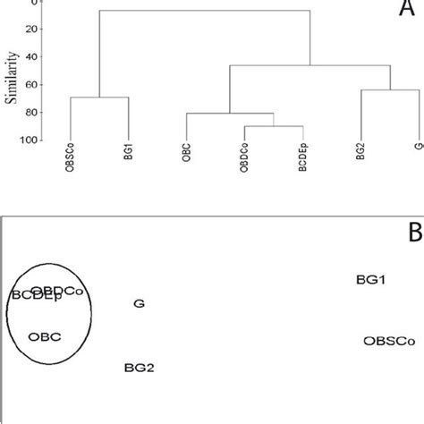 Dendrogram Of Hierarchical Cluster Analysis Top And Mds Plot Below Download Scientific
