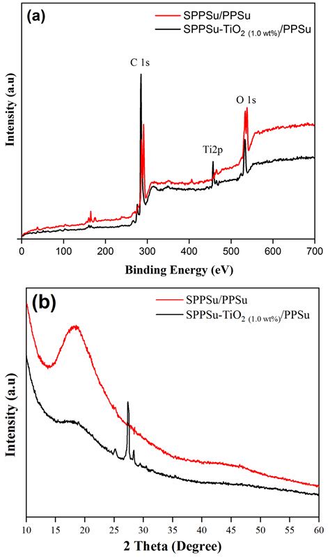 Scale Design Of Dual Layer Polyphenylsulfonesulfonated