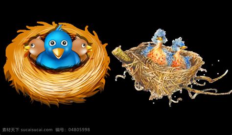 手绘卡通鸟巢免抠png透明图层素材图片下载 素材编号04805998 素材天下图库