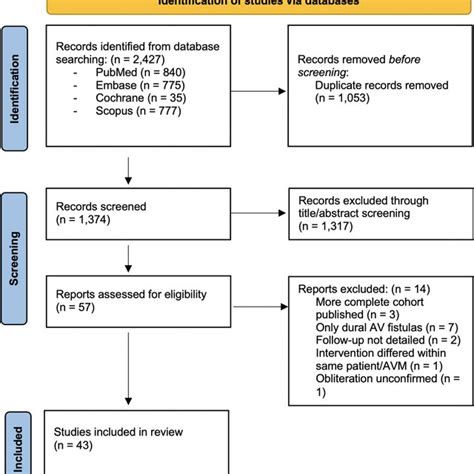 Flow Diagram Depicting Literature Review Process According To Prisma