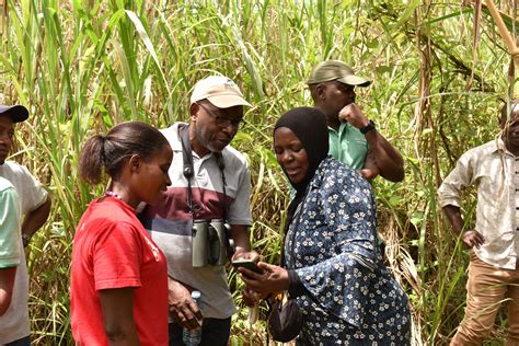 Landscape Restoration Capability Along The Albertine Rift Project Kabale University Gallery