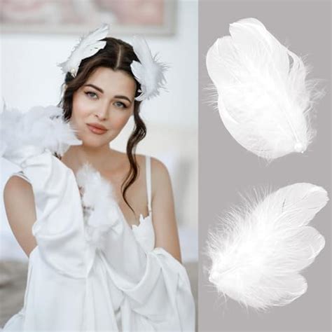 Free Clip White Feathers Download Free Clip White Feathers Png Images