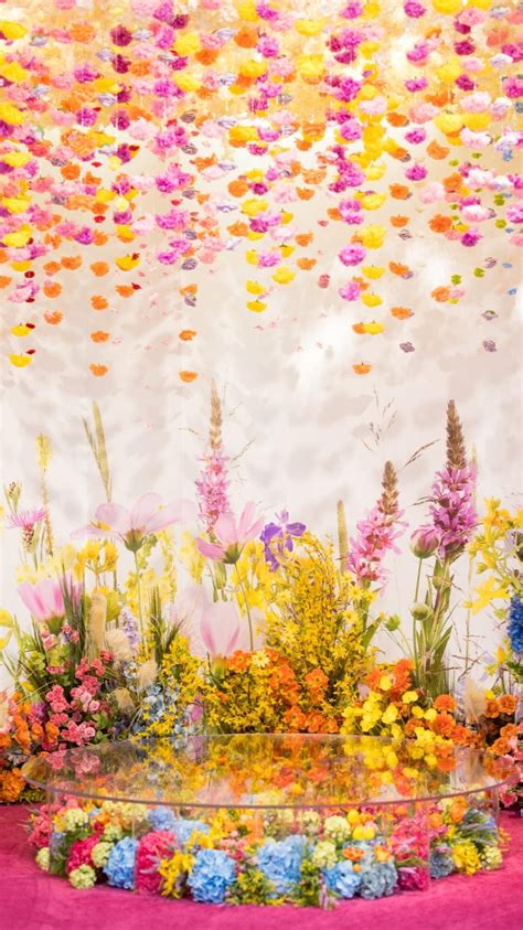 240 Project Profetti Ideas Table Of Contents Design Soil