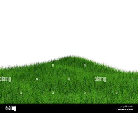 Colour Summer Summerly Illustration Color Render Meadow Grass