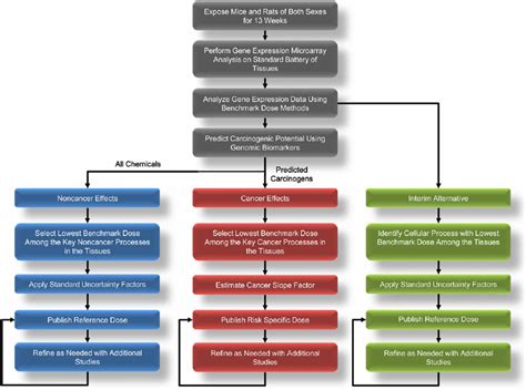 A Flow Chart Outlining The Application Of Transcriptomic Data To Download Scientific Diagram