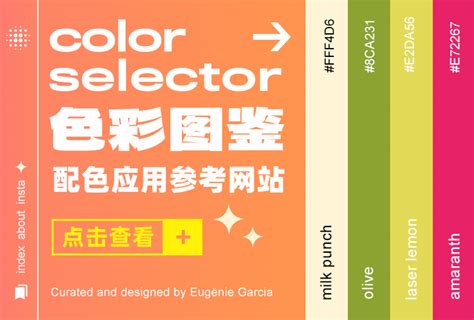设计神器color selector！兼具艺术性和设计感的配色应用参考网站 优优教程网 自学就上优优网