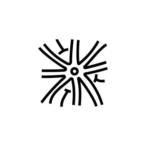 1600 Neuron Synapse Icon Stock Illustrations Royalty Free Vector