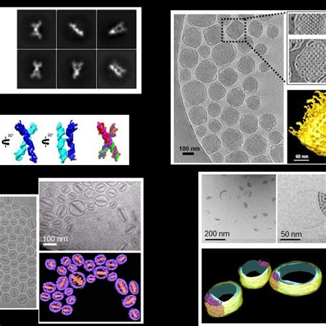 3d Imaging In Cryo Tem By Single Particle Analysis And Electron