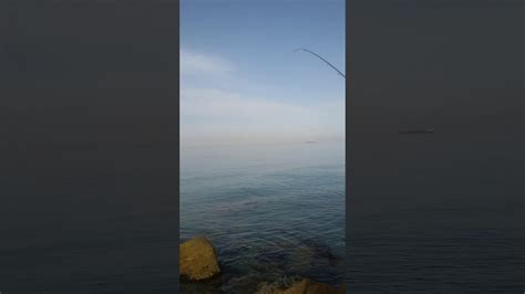 اجمد فرخ توين من العين السخنة Youtube