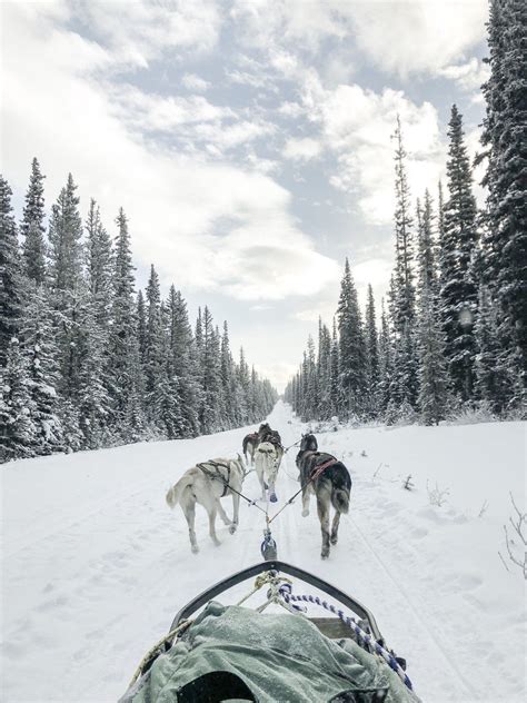 5 Day Banff Itinerary A Winter Wonderland Guide My Perfect
