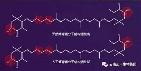 虾青素成分虾青素分子虾青素第3页大山谷图库