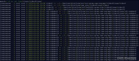深入解析v4l2:linux下的视频采集与驱动框架 Csdn博客 深入解析v4l2:linux下的视频采集与驱动框架 Csdn博客