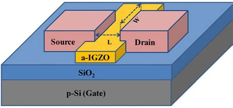 Schematic Cross Section Of The A Igzo Based Tft Bottom Gate