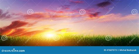 Sunset In The Grass Field Royalty Free Stock Image