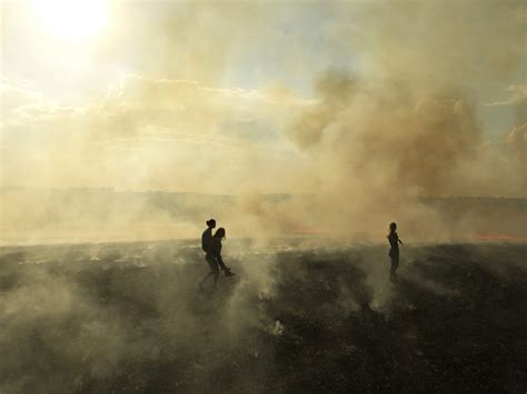 The Burn Michael Reid Murrurundi