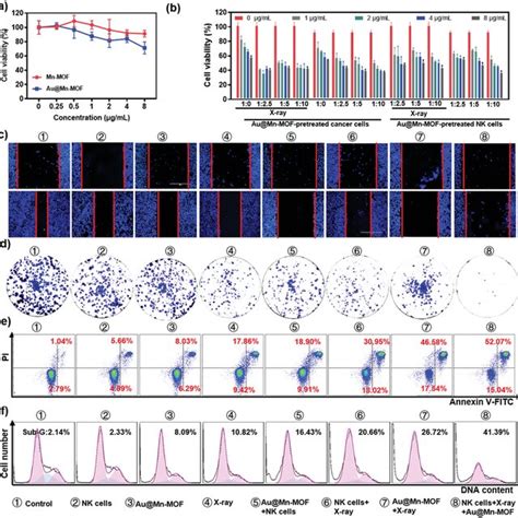 Bio‐functional Nanosystem Enhanced Cell Growth Inhibition Of