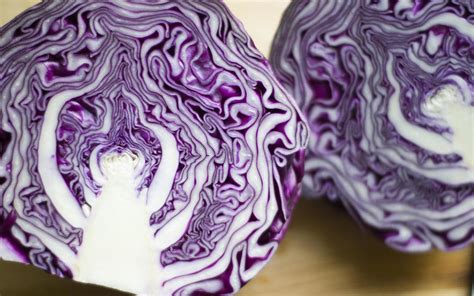 Organic Red Cabbage 2 Pack Rustic Roots Organic Home Delivery Service In Nyc And Long Island