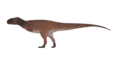 Rare Discovery Of New Abelisaurid Dinosaur Species 100 Million Years