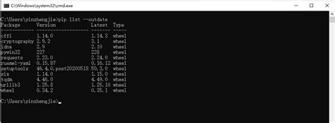 Python软件包管理工具pip实战篇 阿里云开发者社区